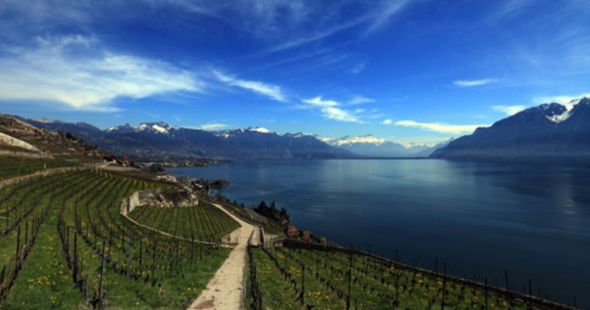 Où cette photo a-t-elle été prise ? : A Saint-Saphorin, dans le canton ...