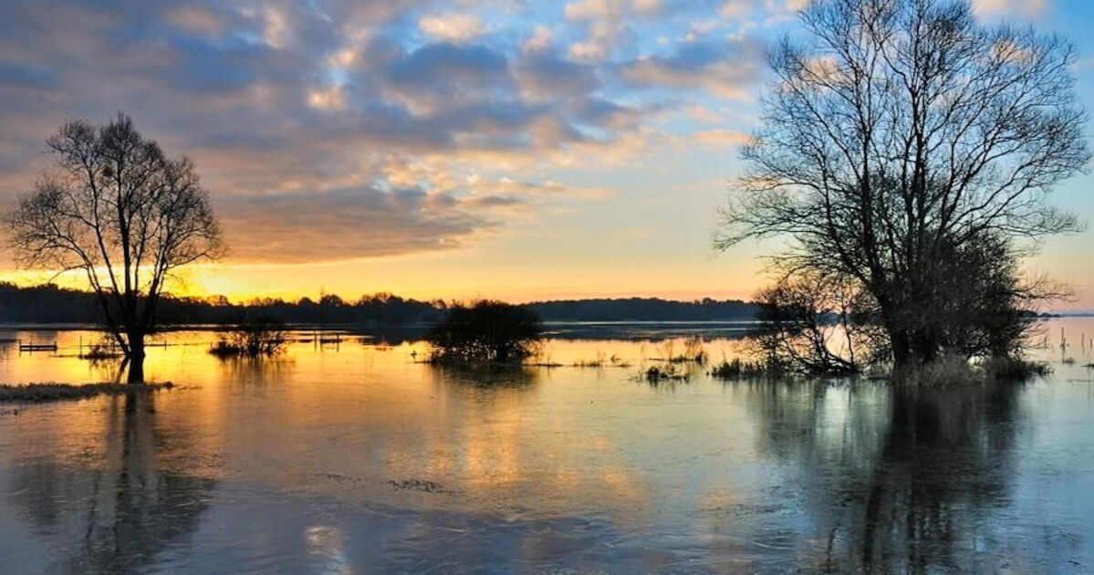 Où cette photo a-t-elle été prise ? : Au bord du lac de Grand-Lieu, en ...