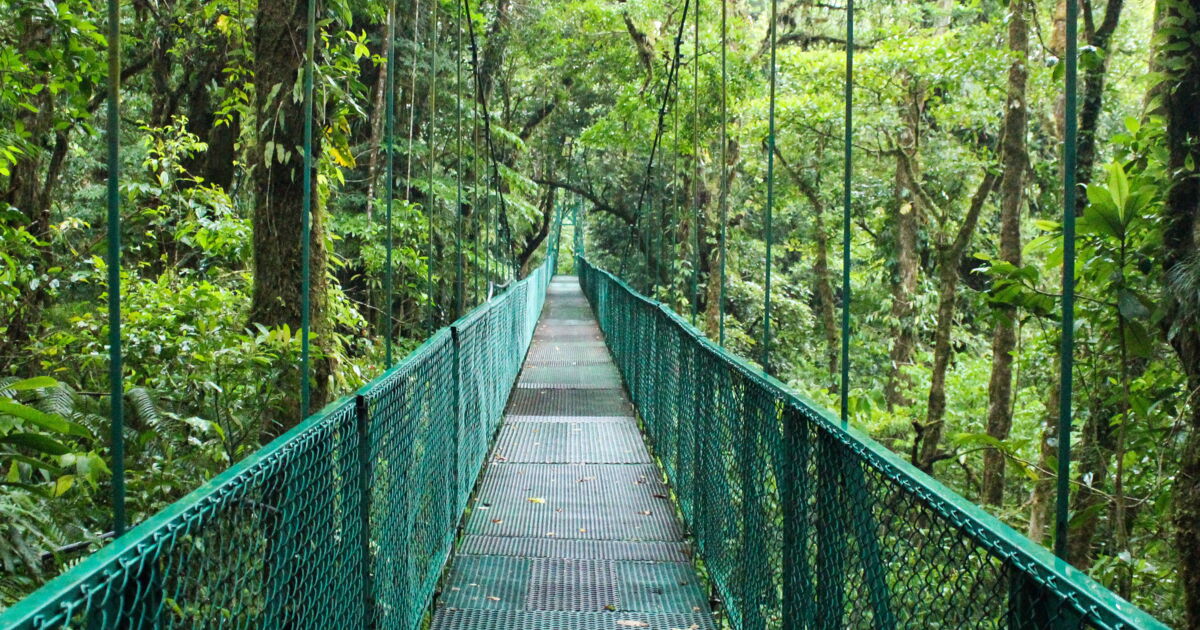 Où cette photo a-t-elle été prise ? : Costa Rica, Brésil, Nicaragua ...