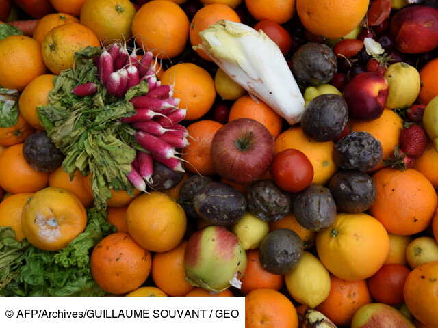 Vegan, mais pas que: nouvelle étude sur les meilleurs régimes pour le ...