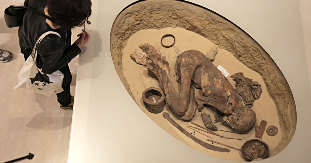 La momification, un procédé plus ancien qu'on ne le pensait - Geo.fr