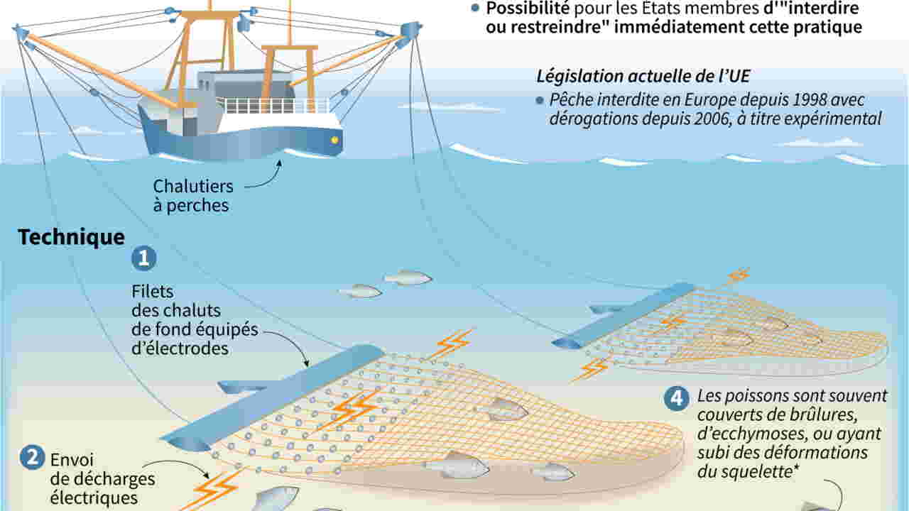 La surpêche menace les océans - Geo.fr