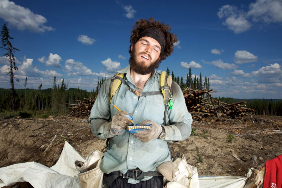 Canada : les "tree planters", ces héros en charge de la reforestation - GEO