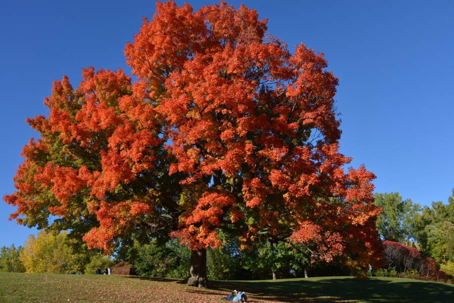 10 superbes photos aux couleurs de l'automne - GEO