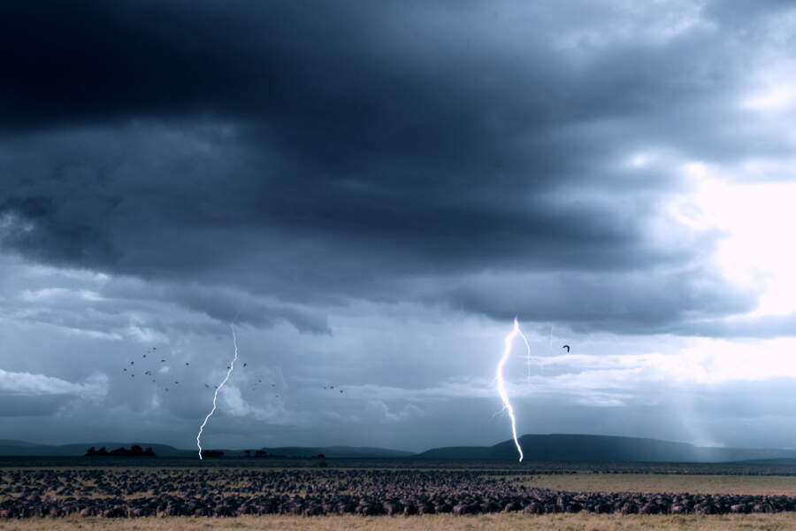 Instantanés nature - GEO