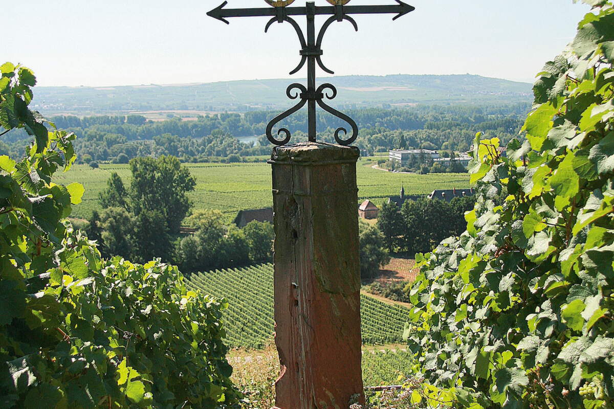 Vignobles millénaires à travers le monde : culture et représentations - GEO