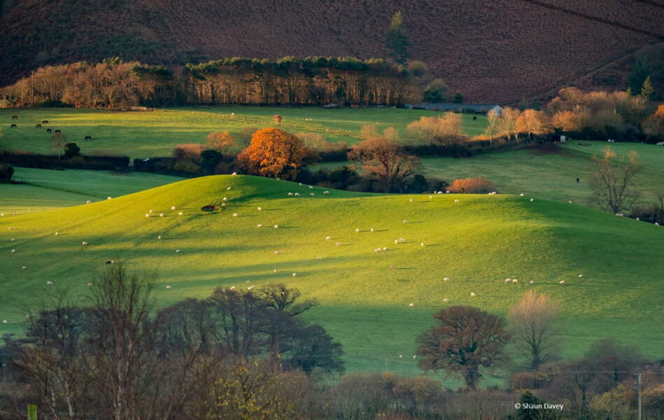 Les plus belles photos capturées dans les parcs nationaux britanniques ...