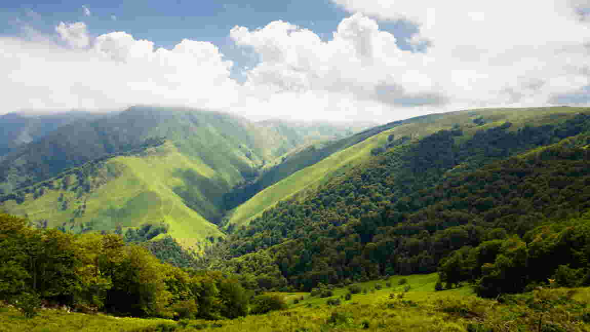 Au Pays basque, randonnée dans la forêt d’Iraty - Geo.fr