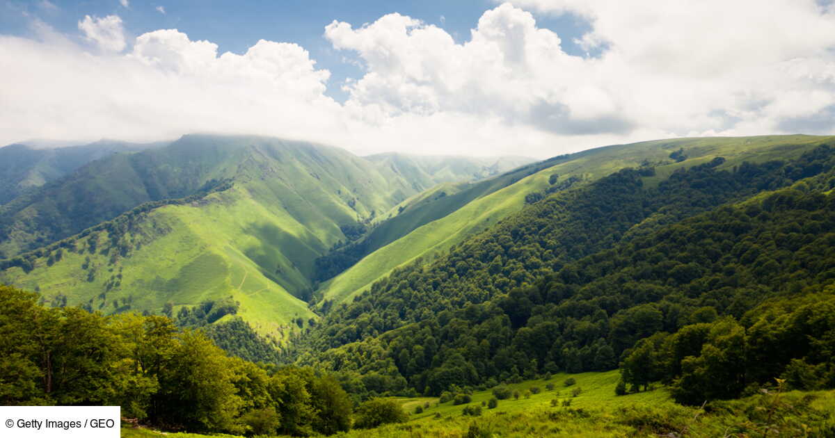 Au Pays basque, randonnée dans la forêt d’Iraty - Geo.fr