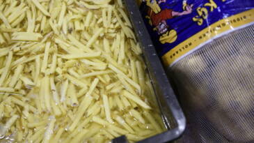 "La plus grosse patate du monde" est-elle vraiment une pomme de terre ...