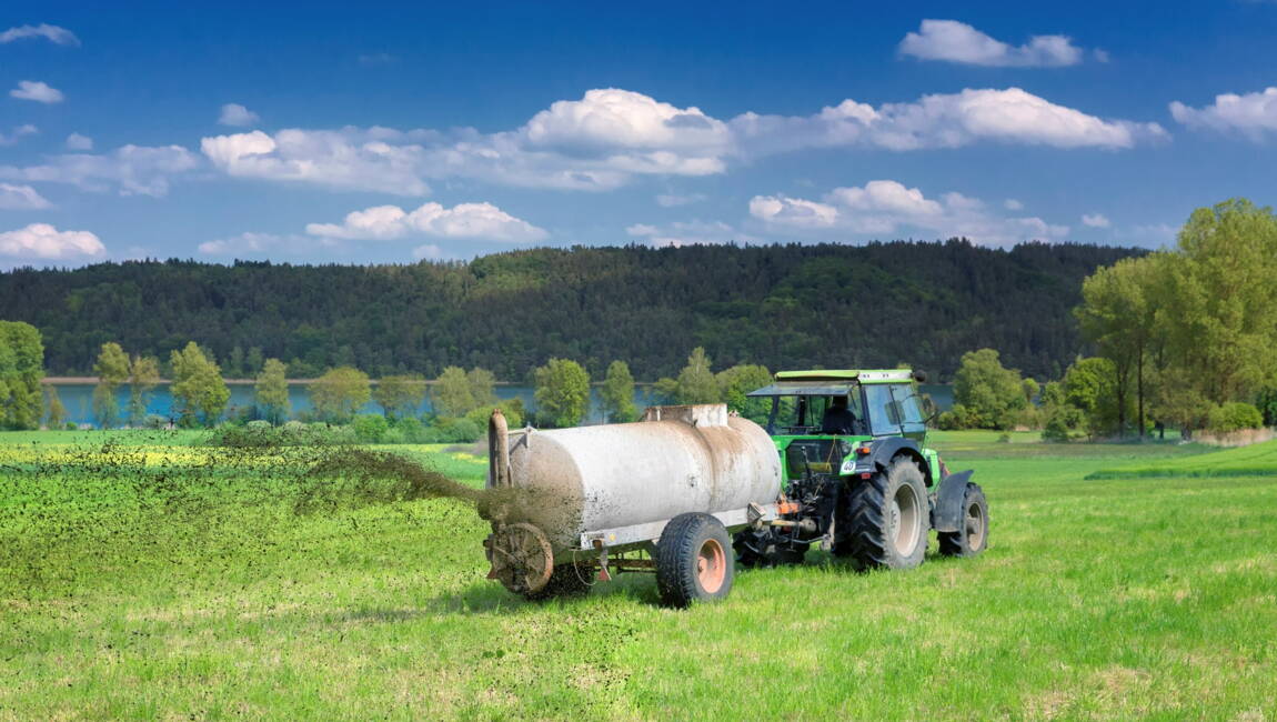 L’azote, un élément chimique aux multiples formes - Geo.fr