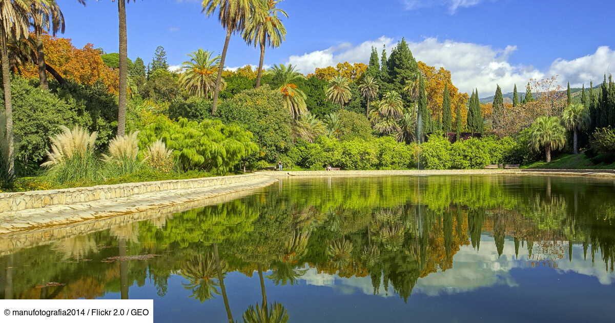 Que faire à Malaga ? Les 10 plus beaux endroits à visiter - Geo.fr