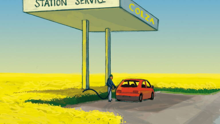 Qu'est-ce qu'un biocarburant ? - Geo.fr