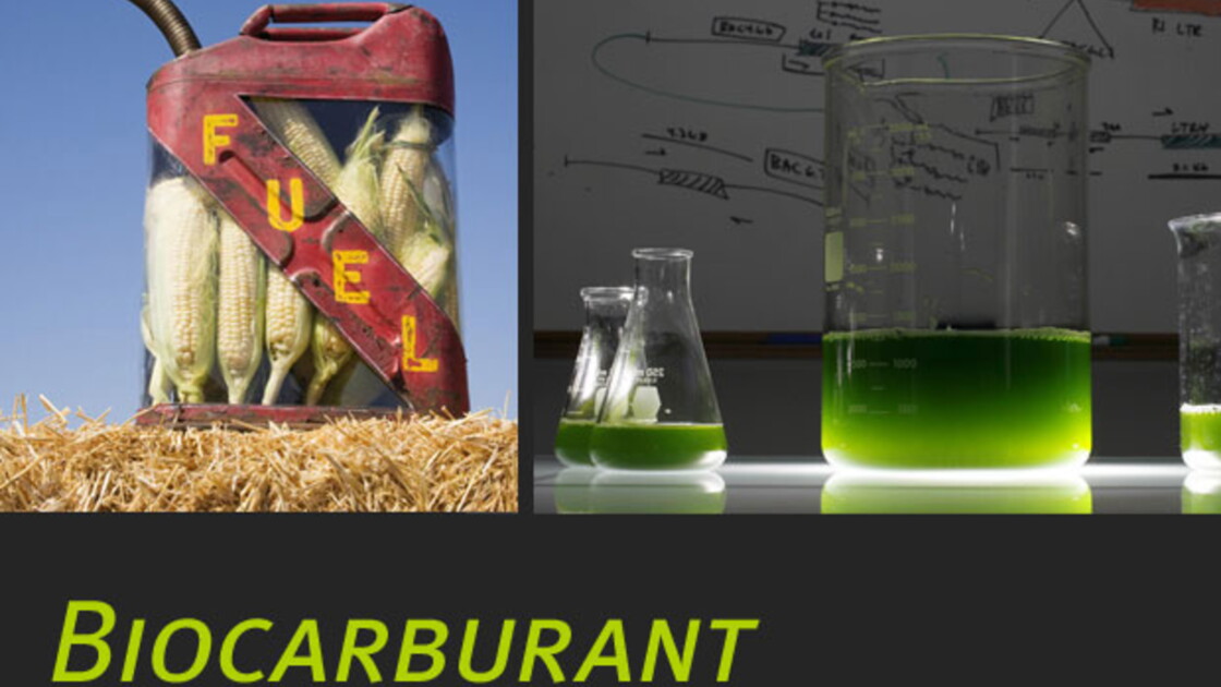 Le biocarburant : qu'est-ce que c'est ? - Geo.fr