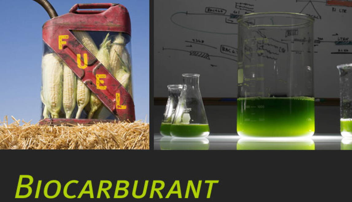 Le biocarburant : qu'est-ce que c'est ? - Geo.fr
