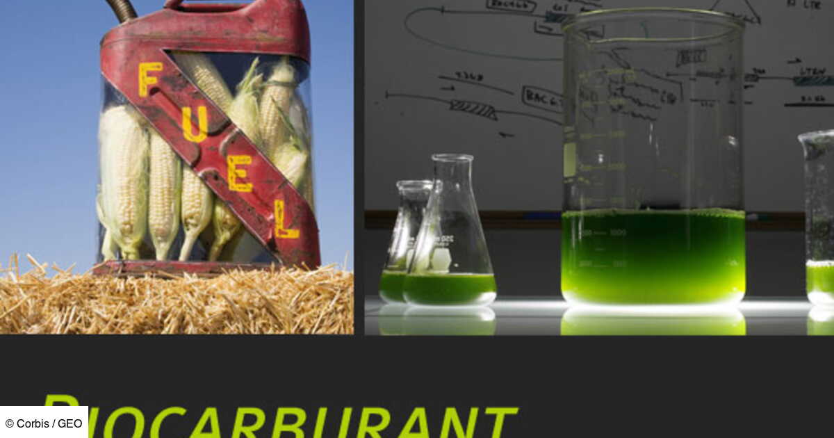 Le biocarburant : qu'est-ce que c'est ? - Geo.fr