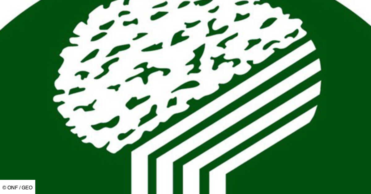 L'ONF, qu'est-ce que c'est ? - Geo.fr