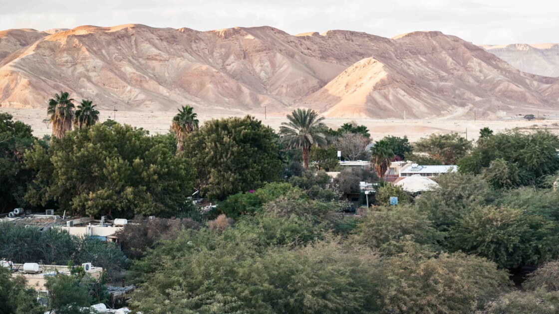 VIDÉO - Les nouveaux visages des kibboutz : le récit de notre ...