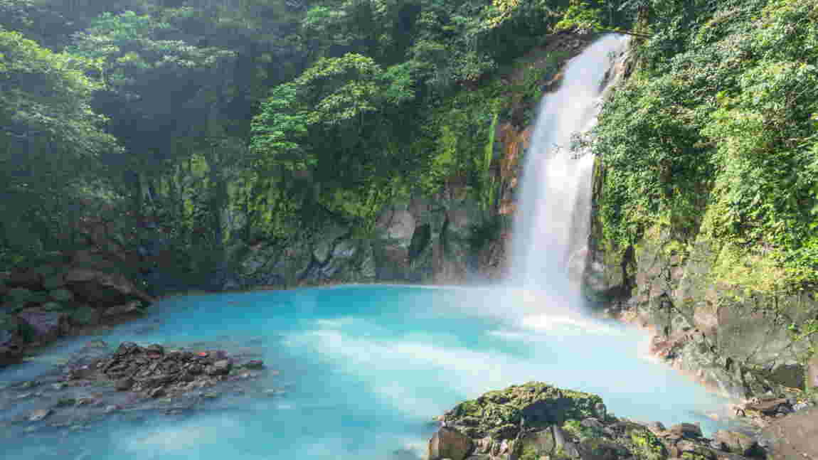 Le Costa Rica, champion de la diversité - Geo.fr