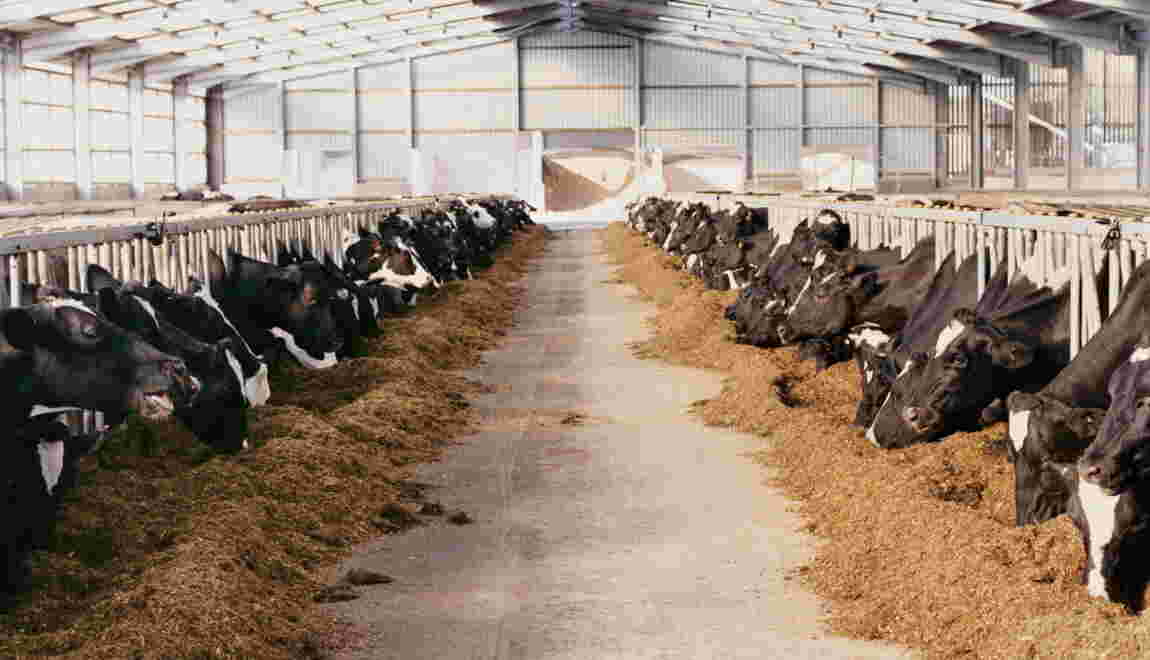 Les fermes géantes sont-elles compatibles avec l’agriculture écologique ...