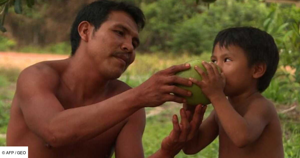 Amazonie : la tribu Waiapi, un voyage entre deux mondes - Geo.fr