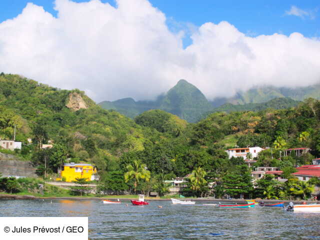 Lutter ou couler : la Martinique face à la montée des eaux - Geo.fr