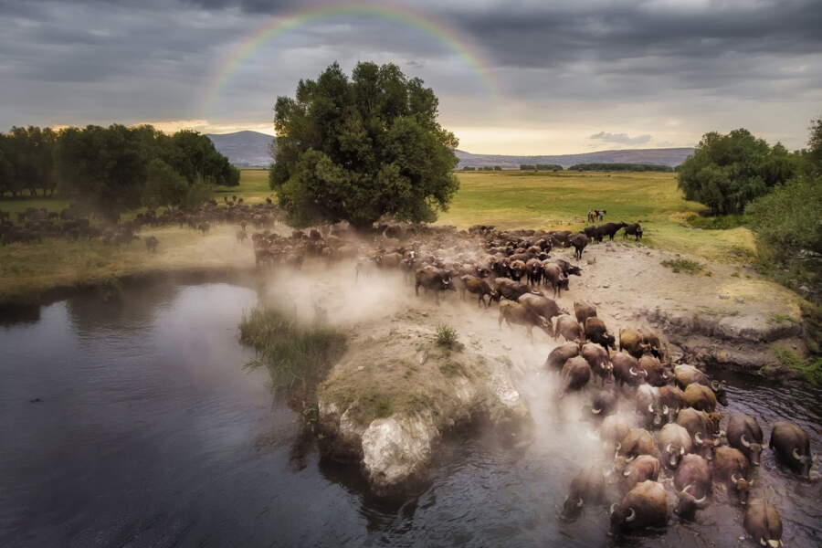 Drone Awards 2020 : les plus belles photos aériennes lauréates du ...