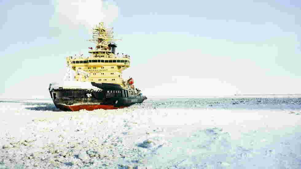 Un Russe découvre une tête de loup vieille de 40000 ans en Sibérie - Geo.fr