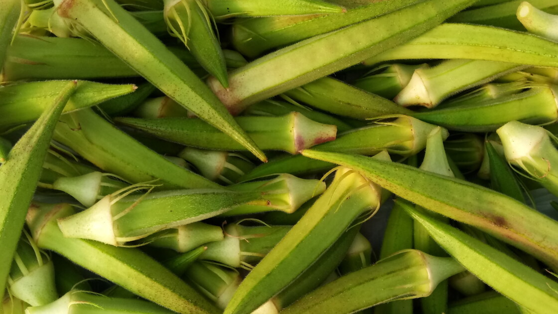 Mali : tout savoir sur le gombo, le roi des légumes africains - Geo.fr