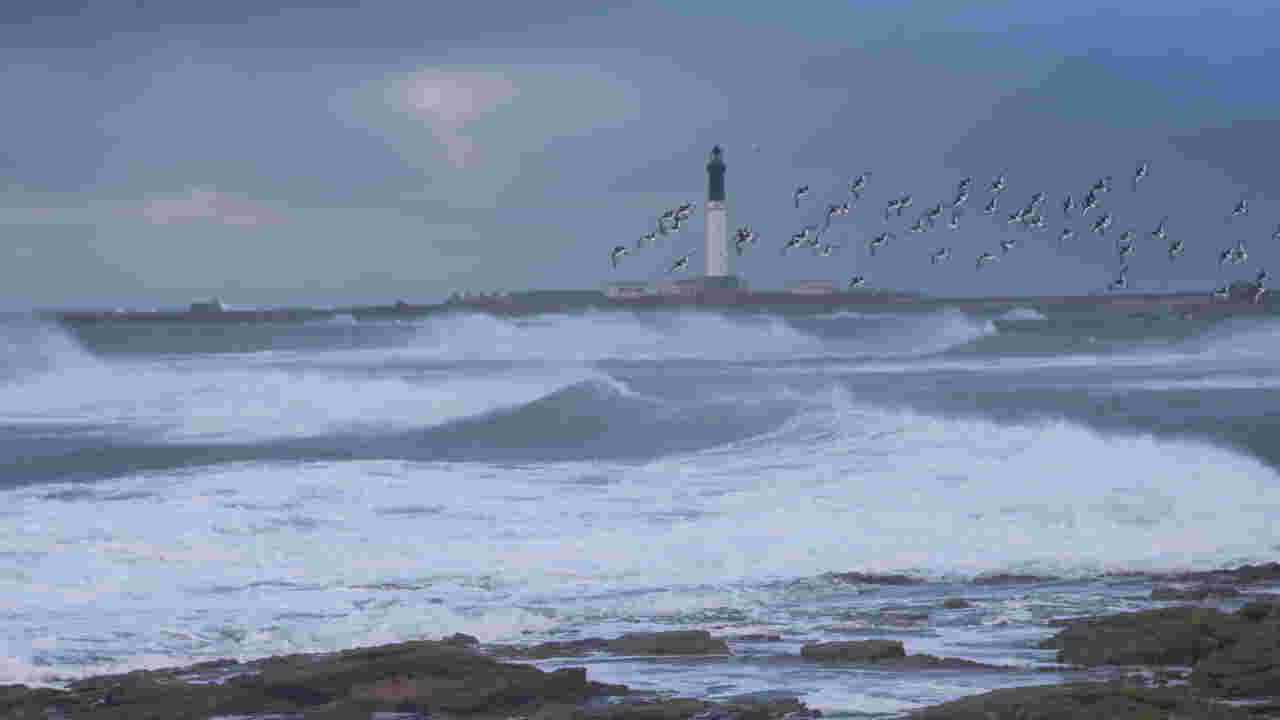 Climat : qu’est-ce qu’une tempête ? - Geo.fr