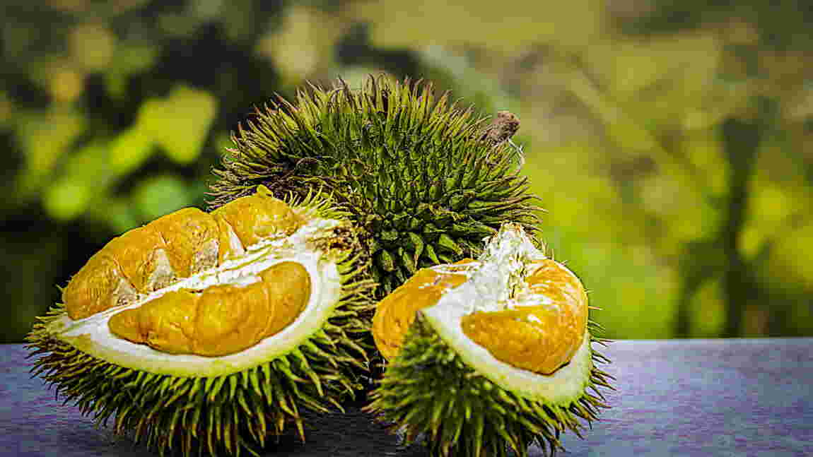 Tout savoir sur le durian, fruit défendu des Asiatiques - Geo.fr