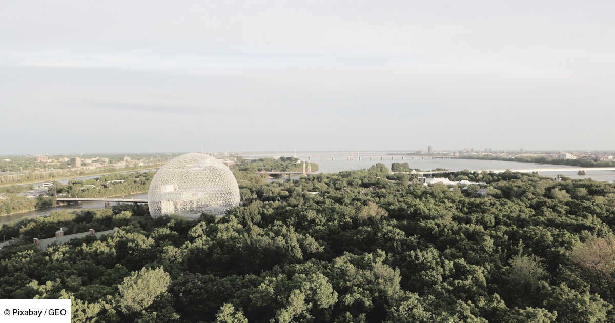 Qu'est-ce que la biosphère ? Définition et explication - Geo.fr