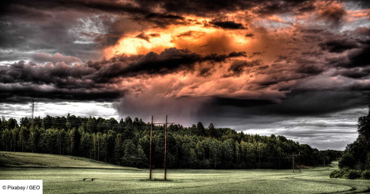 Qu'est-ce qu'une pluie acide ? Définition et dangers - Geo.fr