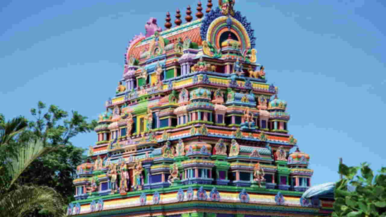 Île de La Réunion, Saint-André : au cœur des traditions malbares - Geo.fr