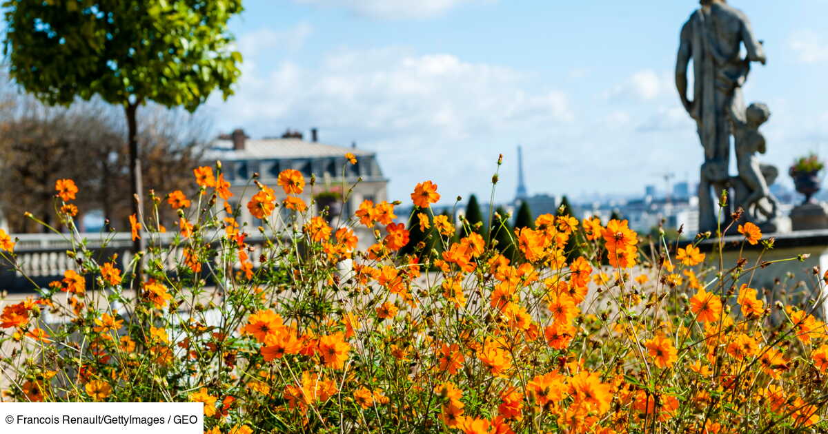 Que faire à Paris quand on aime la nature ? - Geo.fr