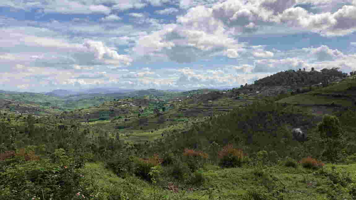 Rwanda : le nouvel eldorado touristique africain - Geo.fr