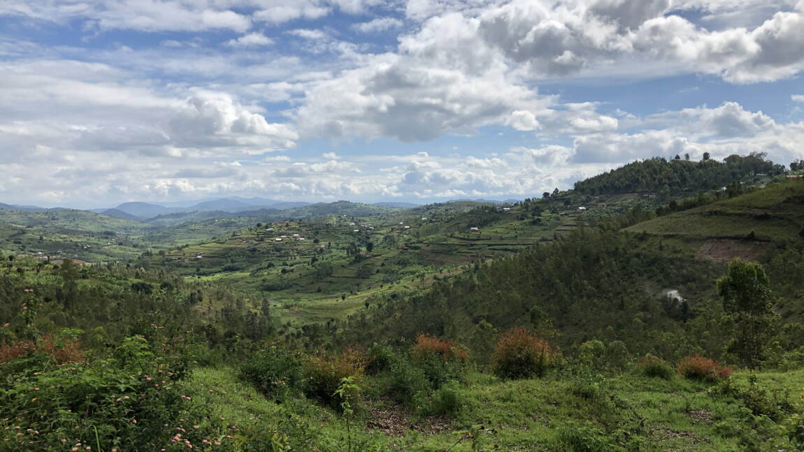 Rwanda : le nouvel eldorado touristique africain - Geo.fr