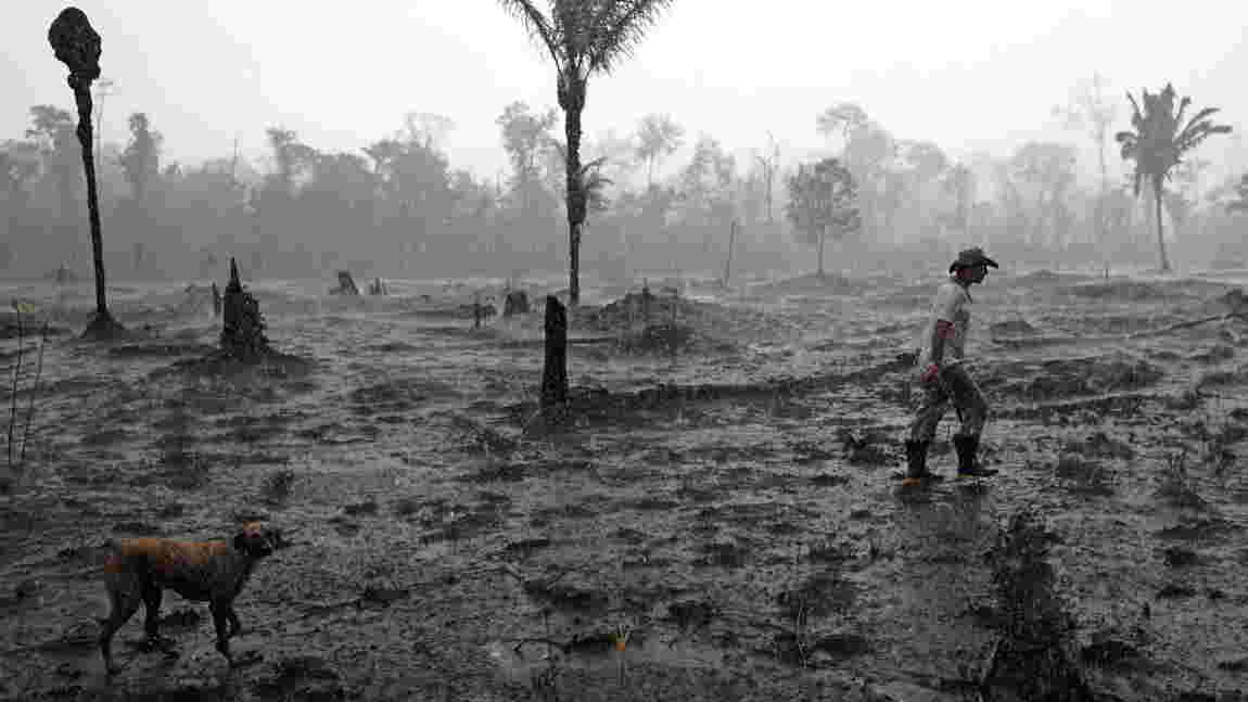 Amazonie: pendant l'épidémie, la déforestation s'accélère - Geo.fr