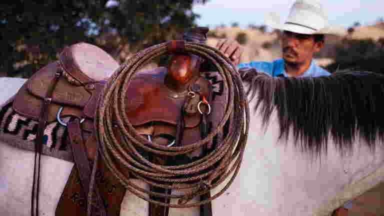 Conquête de l'Ouest : “Environ la moitié des cow-boys étaient des ...