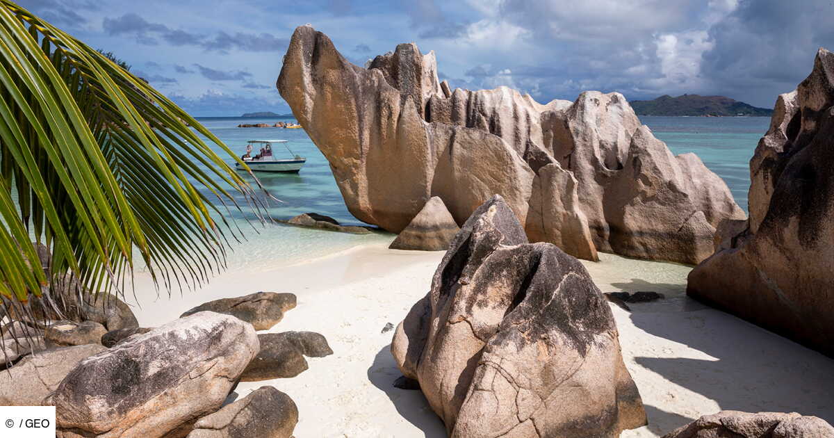 Les Seychelles, modèle mondial de la préservation de l'environnement ...