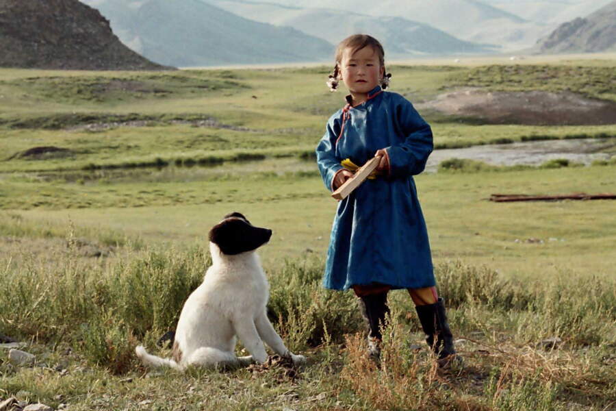 Les 13 films coups de cœur de GEO - GEO