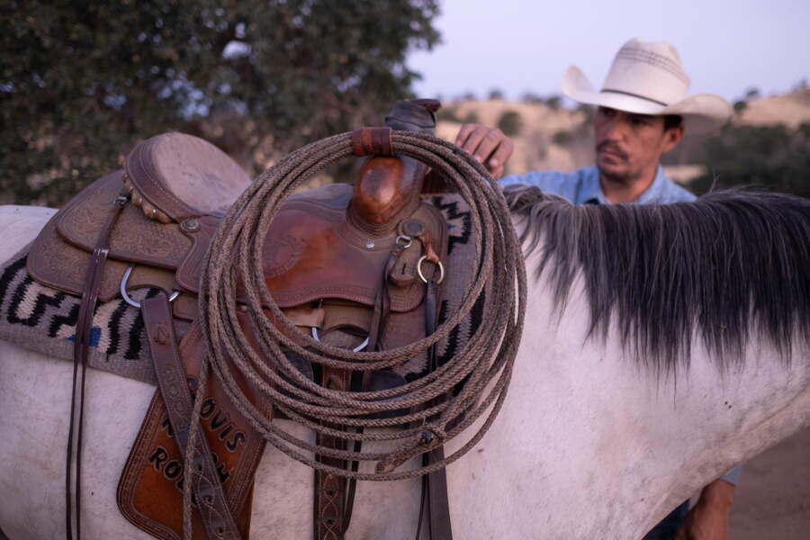 En immersion avec les derniers cow-boys du Far West - GEO