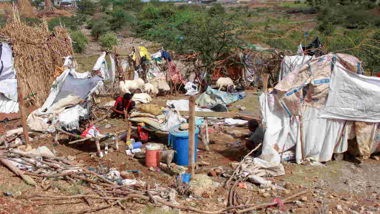 Yémen: 7 morts dans des inondations, craintes du coronavirus - Geo.fr