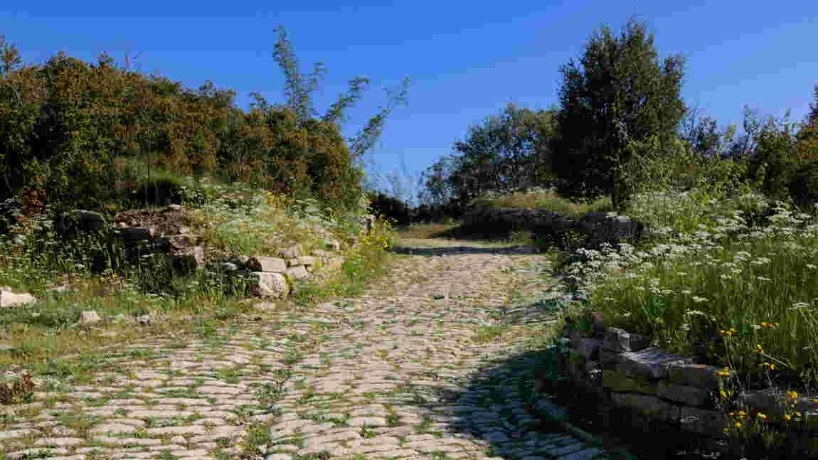 De Briançon à Perpignan, découvrez 10 sites romains de la via Domitia ...