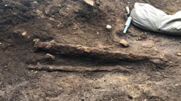 Des chercheurs éclairent les origines de la pastèque grâce... à une tombe vieille de 3500 ans ...