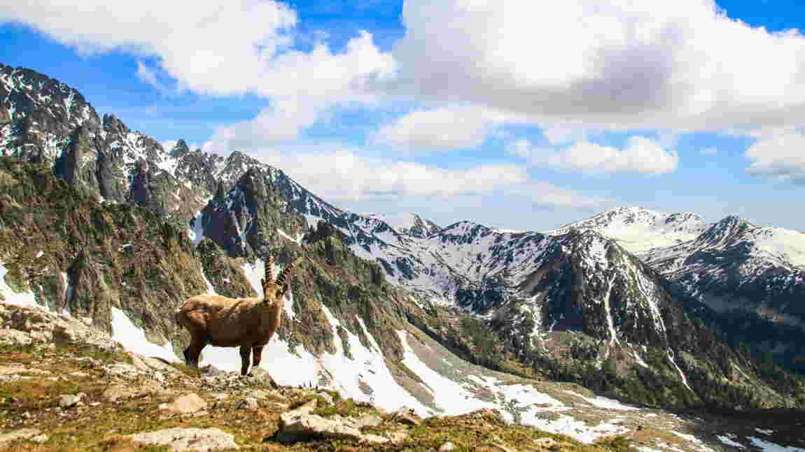 Week-end à la montagne : nos 10 destinations préférées en France - Geo.fr