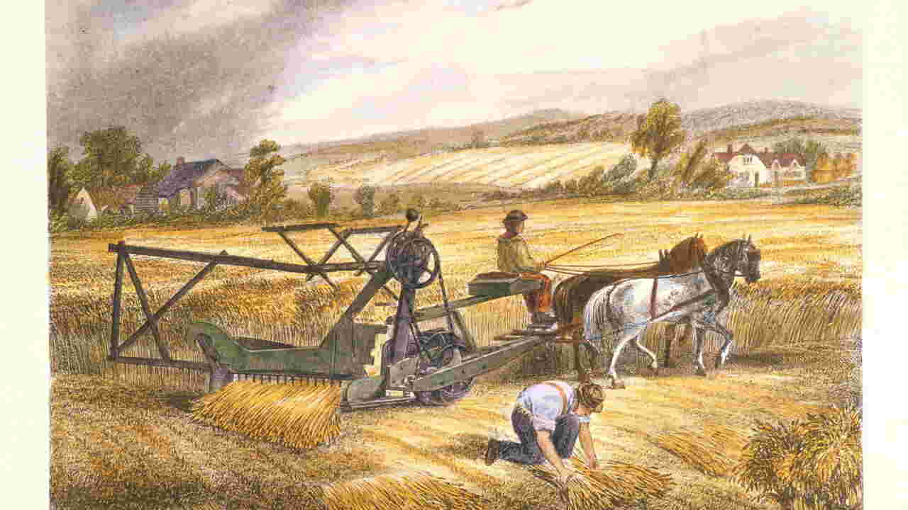 Retour sur les causes de la guerre de Sécession - Geo.fr