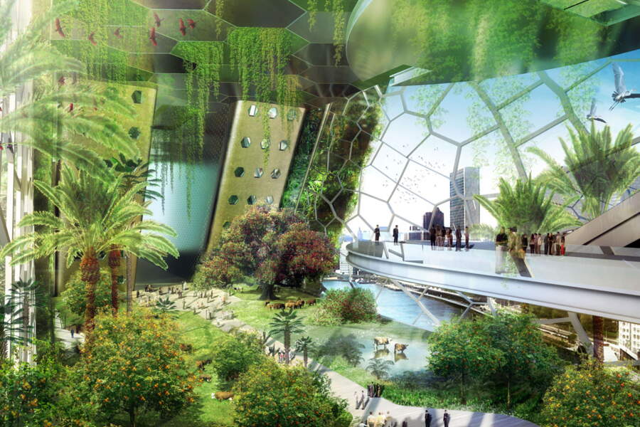 Le projet Dragonfly en images - GEO