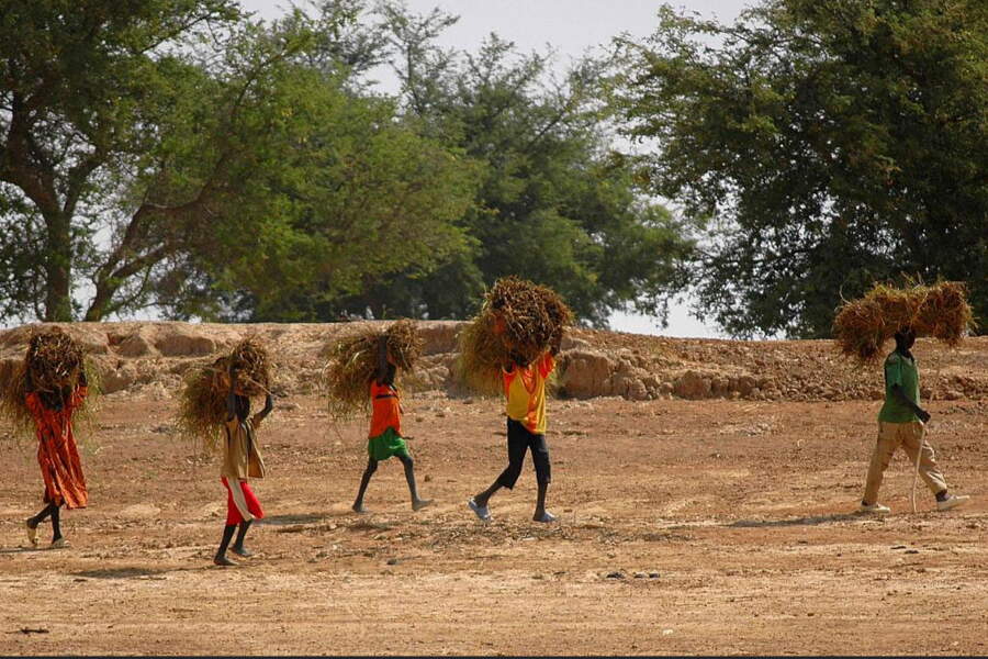Mali : à la rencontre du peuple Dogon - GEO