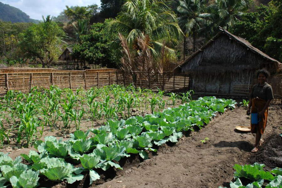 Indonésie : Pantar, l'île du bout du monde - GEO